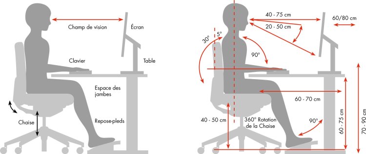 Ce que vous devez savoir sur l'ergonomie - questions et réponses les ...